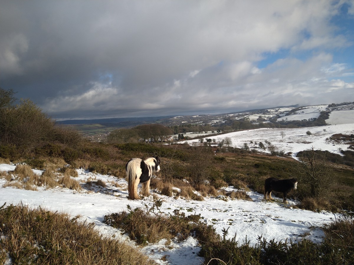 The Galleries – The Winscombe Round